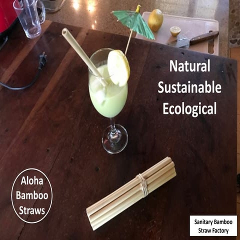 ANYONE CAN HAVE A BAMBOO STRAW FACTORY | PPT