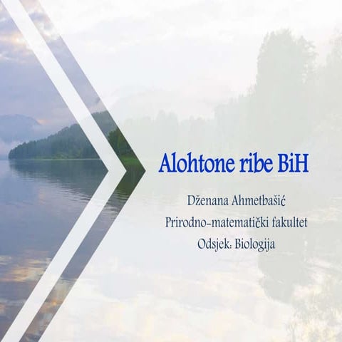 Alohtone ribe u bih | PPTX