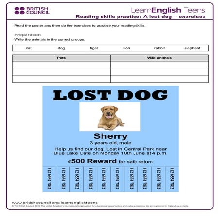 a_lost_dog_-_exercises_4 (1).pdf