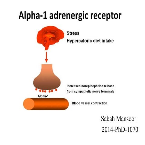 Alpha 1 adrenergic receptor | PPTX