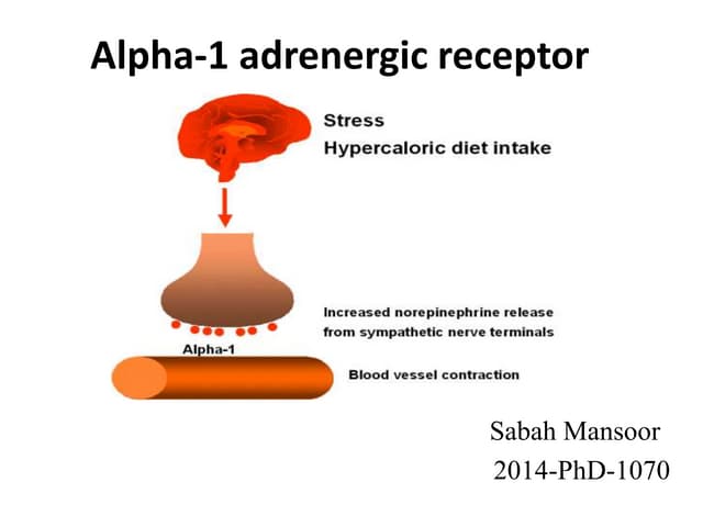Introduction to Adrenergic receptors & Types | PPTX