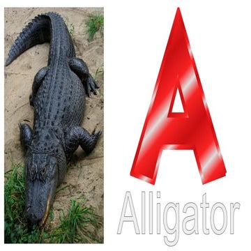 Alphabet Animals.pdf