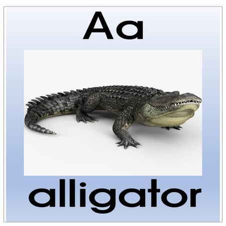 Aaaaalphabetical Animals For Year 1 Docx