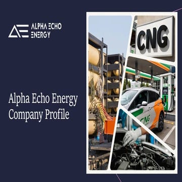 Alpha Echo Energy Ltd_Company Profile.pdf