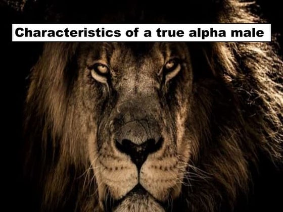 High Value Male Characteristics | PDF