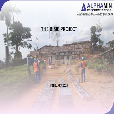 Alphamin presentation feb2015 | PPTX