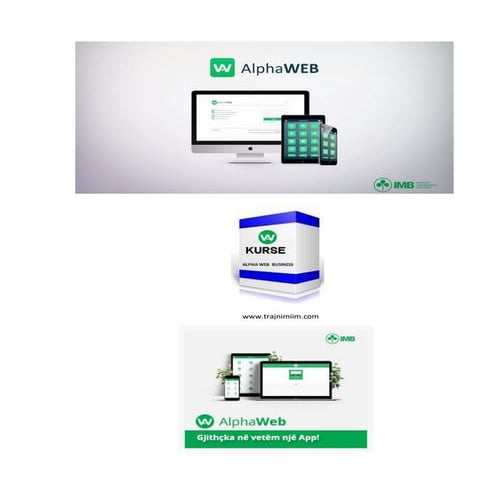 ALPHA WEB, ERP | PDF