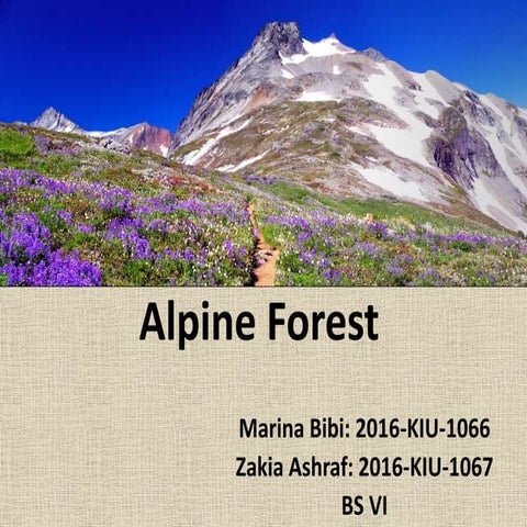 Alpine forest | PPTX
