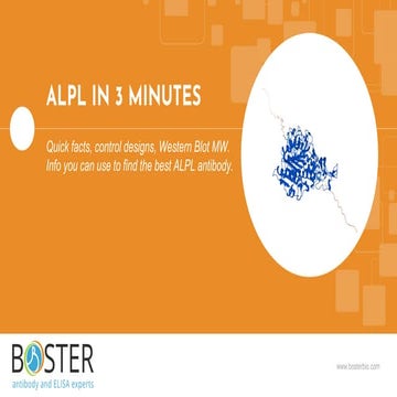 Learn ALPL in 3 minutes | Alkaline Phosphatase, ALP, TNAP | PPTX
