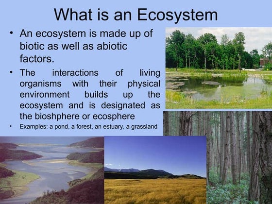 Ch 14 - Ecosystem || Class 12 || | PPTX