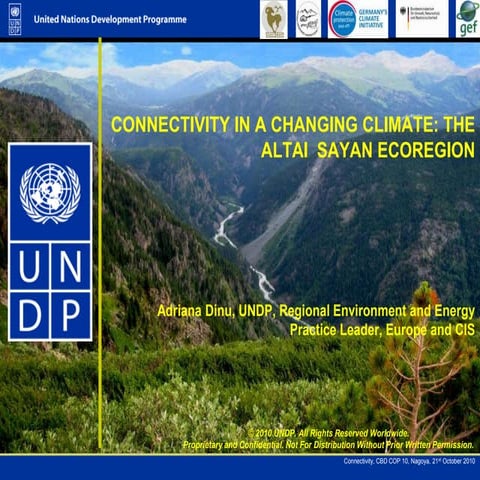 Altai Sayan Ecoregion: Connectivity in a changing climate (UNDP ...