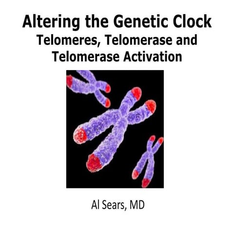 Altering The Genetic Clock With Telomeres and Telomerase - The Key To ...
