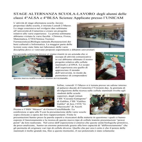Alternanza Unicam Istituto Meucci Castelfidardo | PDF | Biological ...