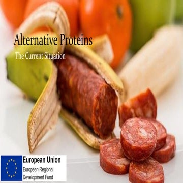 alternative-proteins-where-are-we-now.pdf