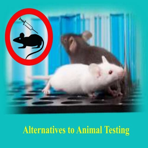 Alternatives to animal experiments