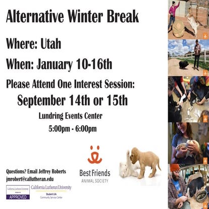 Alternative Winter Break Poster | PDF