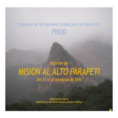 Situación y necesidades del Alto Parapetí | PDF