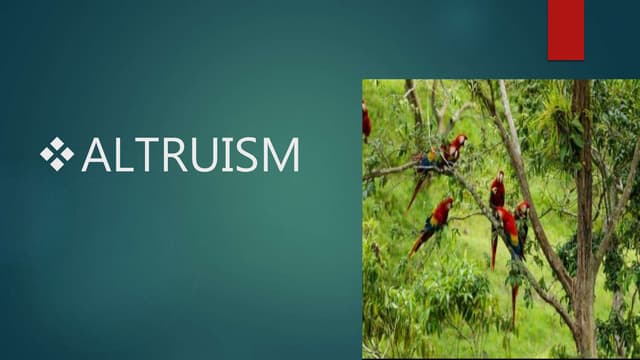 Proximate vs ultimate causes of animal behavior | PPTX