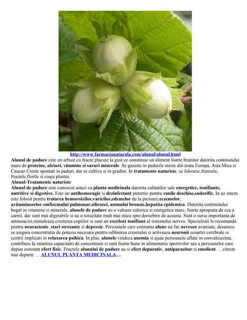 Totul despre planta coada-calului | PDF