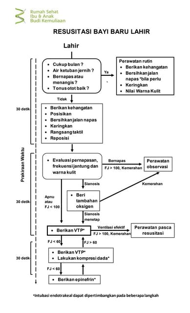Alur resusitasi neonatus | DOCX