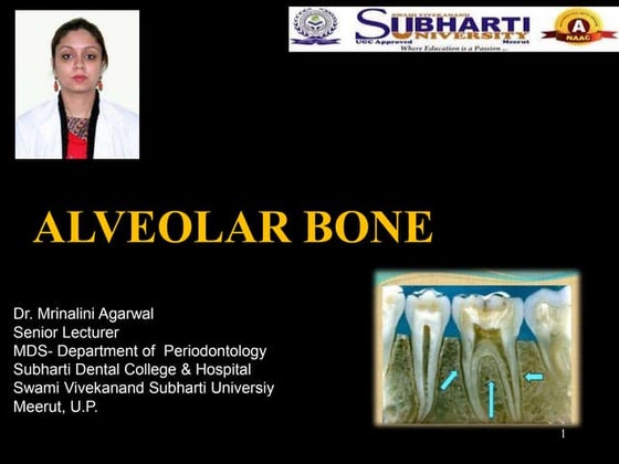 Handout of Alveolar bone Histology | PDF