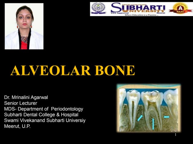 alveolar bone ppt.pptx
