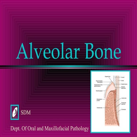 Alveolar bone | PPT