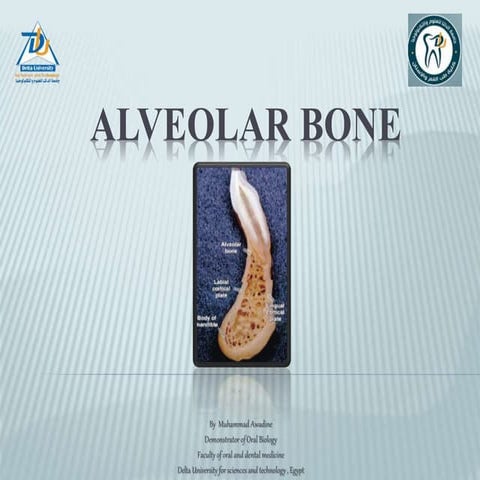 Alveolar bone | PPTX