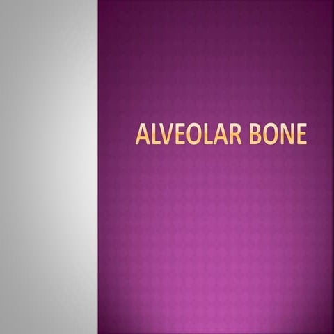 Alveolar bone | PPTX