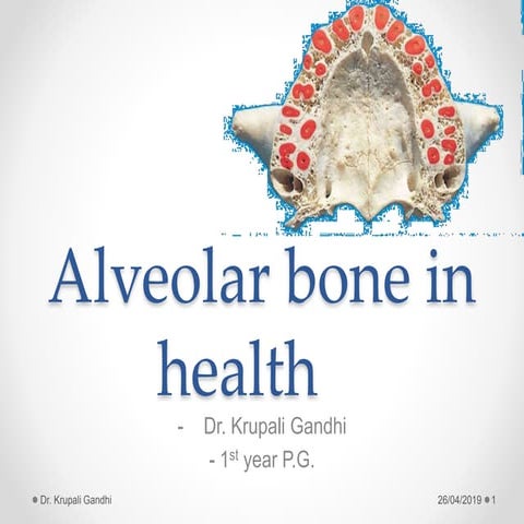 Alveolar bone in health | PPT