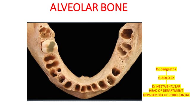 alveolar bone ppt.pptx