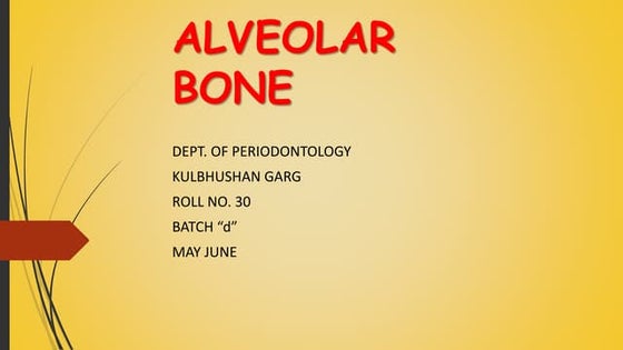 Handout of Alveolar bone Histology | PDF