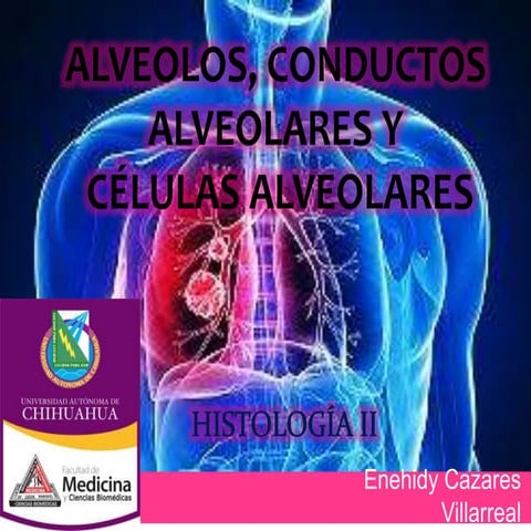 HISTOLOGIA NEUMOCITOS TIPO I Y TIPO II.pptx