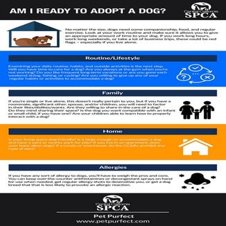 Am I ready to adopt a dog? | PDF