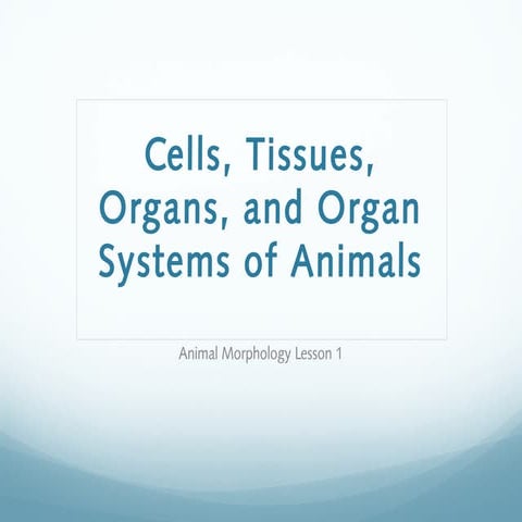 Animal Morphology : Cells, Tissues, Organs and Organ Aystems of Animals ...