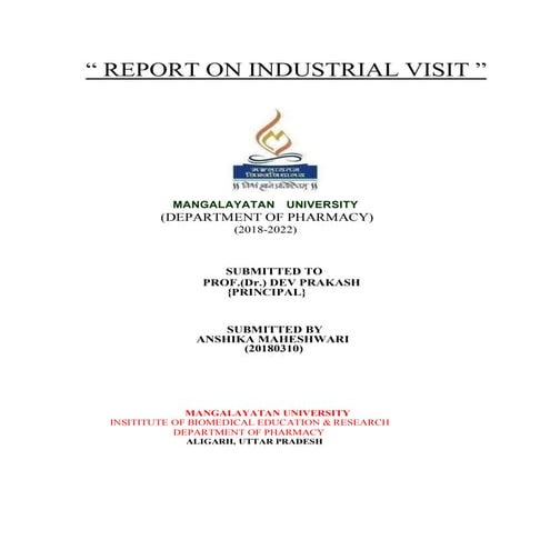 Industrial VISIT report | PDF