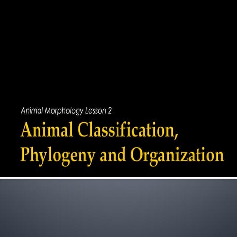 Animal Morphology : Animal Classification, Phylogeny and Organization | PPT