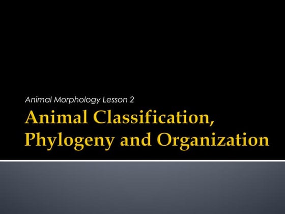 Classification notes for website | PDF
