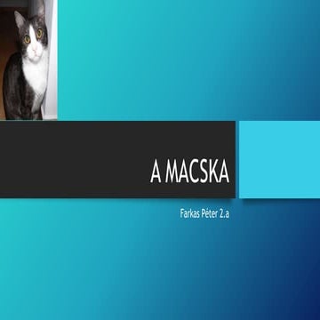 A macska | PPSX