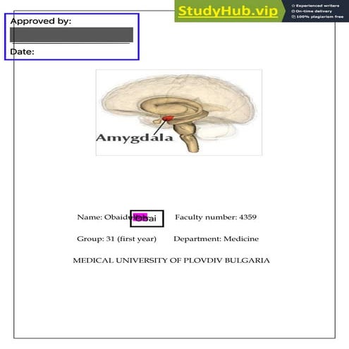 Amagdala And Its Functions | PDF