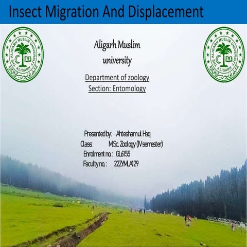 Insect Migration and displacement .pptx