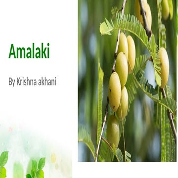 amalaki is a drug of ayurveda. Studied in bams 2nd year | PPTX