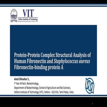 Protein Protein Complex Structural Analysis Of Human Fibronectin And Staphylococcus Aureus