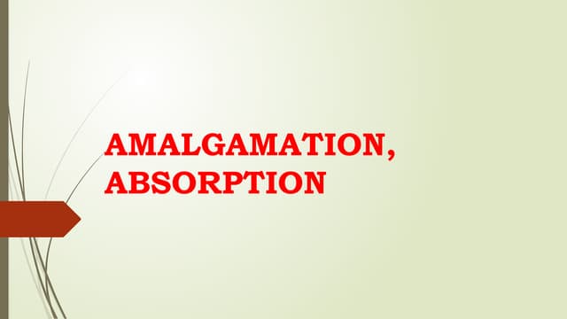 Amalgamation of company | PPTX