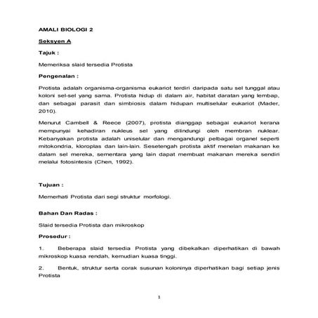 Amali 2 protista | PDF