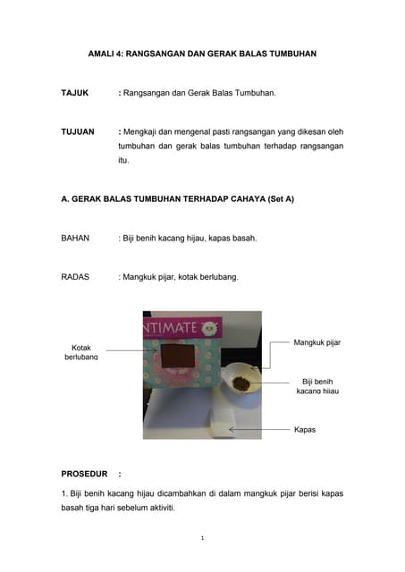 Contoh Minit Curai: Bengkel Pemantapan Guru RBT Baharu Selangor | PDF