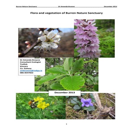 BNS Botanical survey | PDF