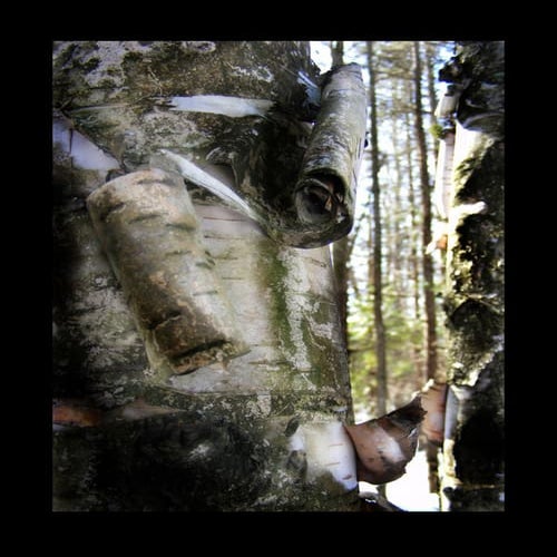 Amanda Fleury Photography | PDF