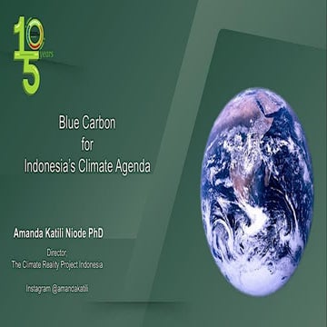 Blue Carbon for Indonesia’s Climate Agenda | PDF