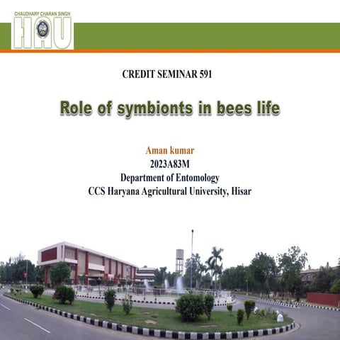 aman seminar rough [Autosaved].ppt credit seminar | PPT | Beekeeping ...